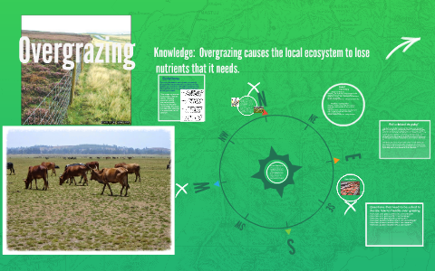 Overgrazing by Sam Jenson on Prezi