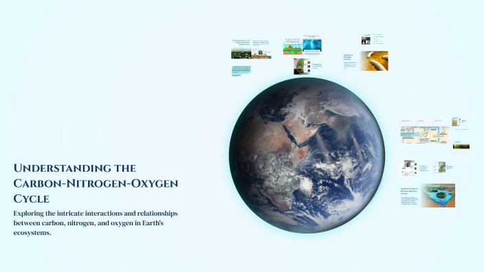 Understanding the Carbon-Nitrogen-Oxygen Cycle by Alexander Romeo on Prezi