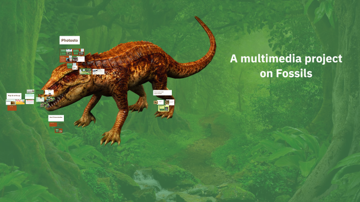 Unearthing the Past: A Photostory of Dinosaur Fossil Discoveries by ...