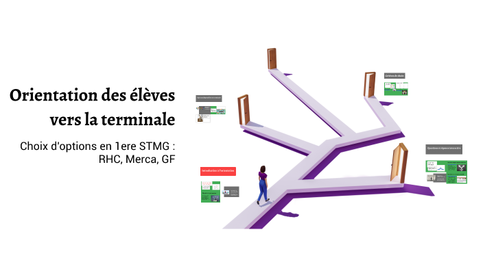 Orientation des élèves vers la terminale by Sara KATE on Prezi