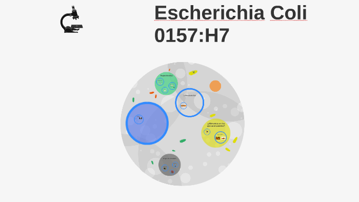 Escherichia Coli 0157:H7 by Juan Garcia Flores on Prezi