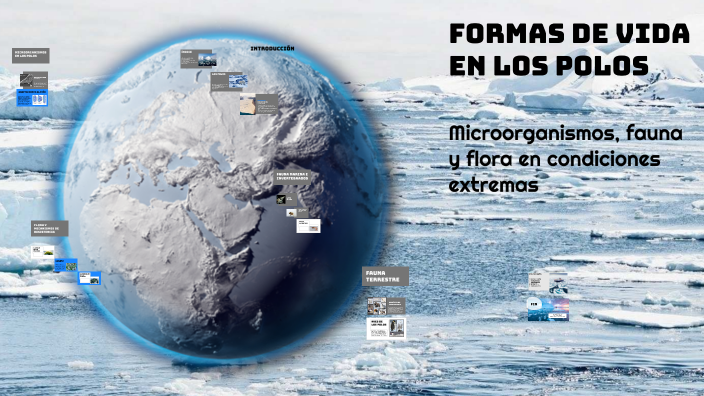 Formas de vida en los polos by Yeray Martos Barrero on Prezi