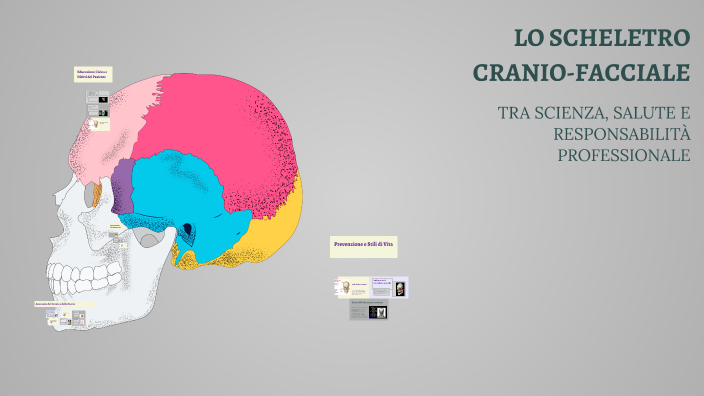 LO SCHELETRO CRANIO-FACCIALE by jk -15 on Prezi