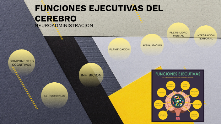 FUNCIONES EJECUTIVAS DEL CEREBRO by Jorge Ivan Sierra Zapata on Prezi
