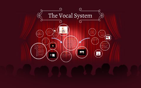 The Vocal System by Sarah Northcutt on Prezi