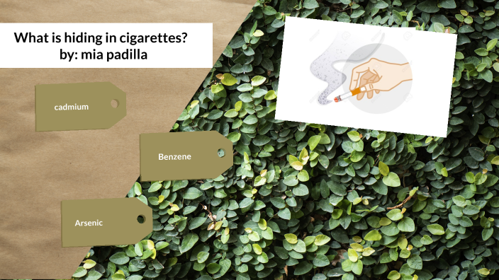 What is hiding in cigarette smoke? by Mia Padilla on Prezi