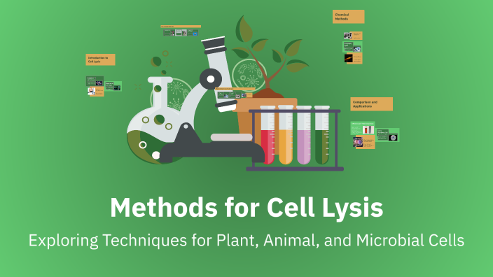 Methods for Cell Lysis by Avni K on Prezi