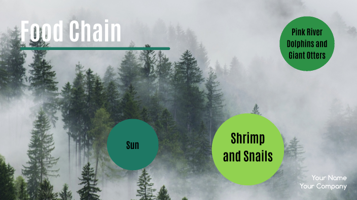 P.P animal food chains by 27Penelope Peluse on Prezi