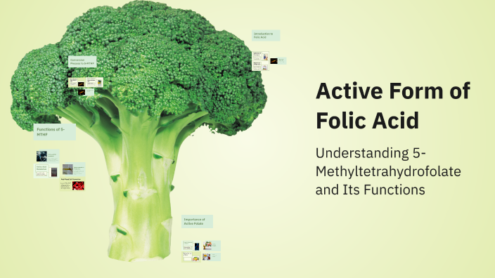 Active Form of Folic Acid by LIMU Students on Prezi