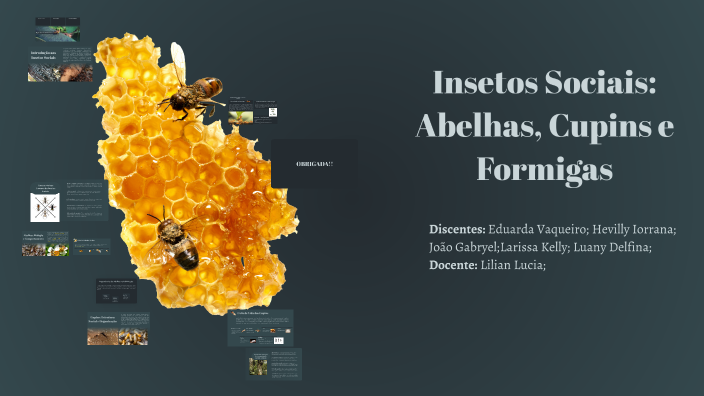 Insetos Sociais: Abelhas, Cupins e Formigas by larissa santos on Prezi