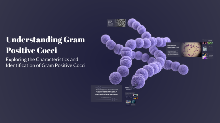 Understanding Gram Positive Cocci by SOPHIA YSABELLE DAYON on Prezi