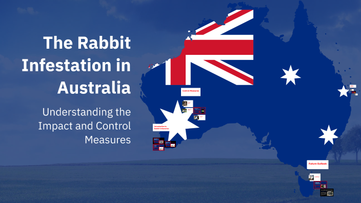 The Rabbit Infestation in Australia by Finn Butler on Prezi