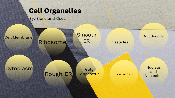 Cell Organelle Project by Sione Albert on Prezi