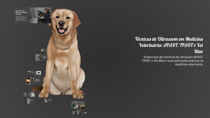 Técnicas de Ultrassom em Medicina Veterinária: AFAST, TFAST e Vet Blue ...