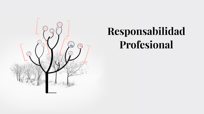 Responsabilidad Profesional by Laura Castro on Prezi
