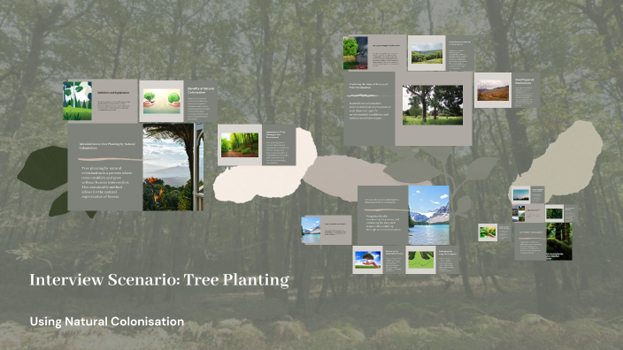 Interview Scenario: Tree Planting by Harry Thacker on Prezi