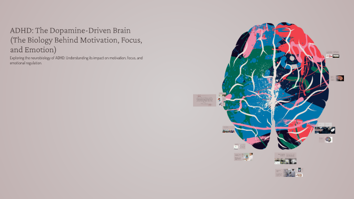 ADHD: The Dopamine-Driven Brain (The Biology Behind Motivation, Focus ...