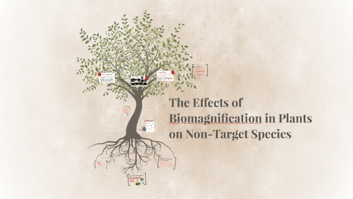 The Effects of Biomagnification and Pesticides on Non-Target by ...
