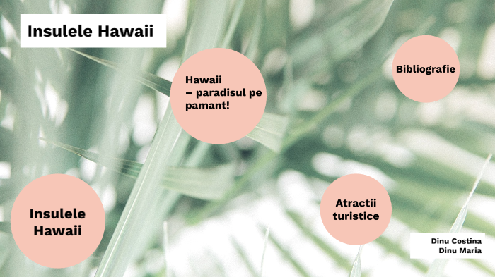 Insulele Hawaii by costina dinu on Prezi