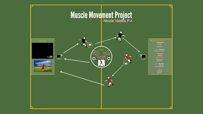 Muscle Movement Project by nicole valdes on Prezi