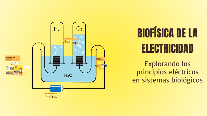 BIOFÍSICA DE LA ELECTRICIDAD by MARTIN GERARDO PEÑARANDA TAPIA on Prezi