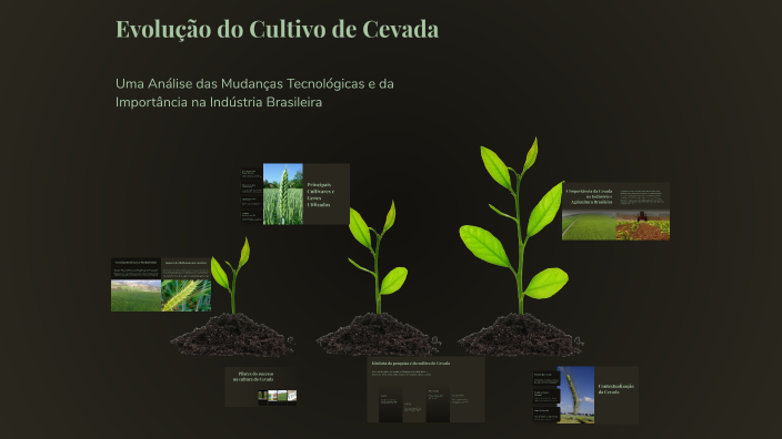 Evolução do Cultivo de Cevada by Leonardo Vinicius Baumgartner on Prezi