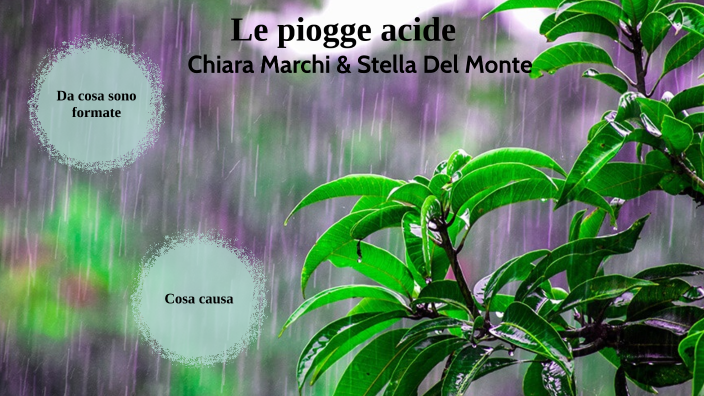 Le piogge acide by Chiara Marchi on Prezi