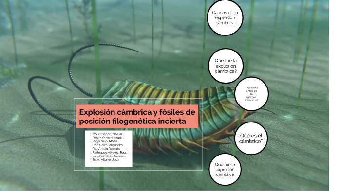 Explosión cambrica by Samuel Sánchez Bello on Prezi