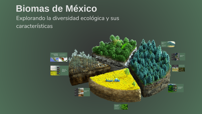 Biomas de México by Nicole Pacheco Zendejas on Prezi