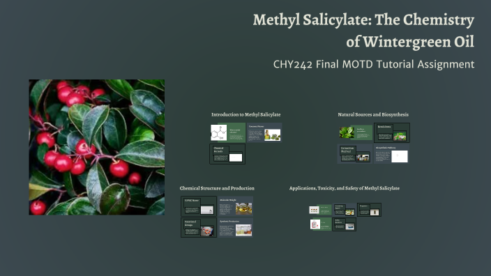 Methyl Salicylate: The Chemistry of Wintergreen Oil by Selina Ahitan on ...