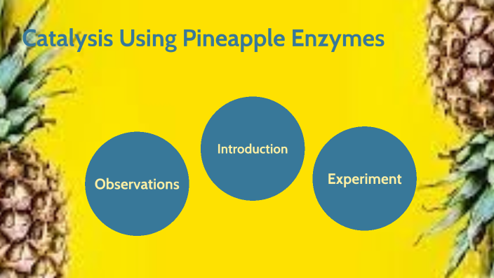 Catalysis Using Pineapple Enzymes by Julia Atchley on Prezi