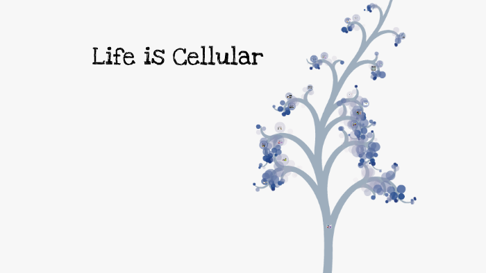 Biology Chapter 7 Section 1 Life is Cellular by Mark Meredith on Prezi