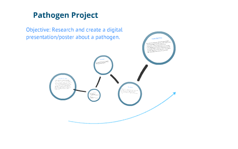 Pathogen Project by eduardo loza on Prezi