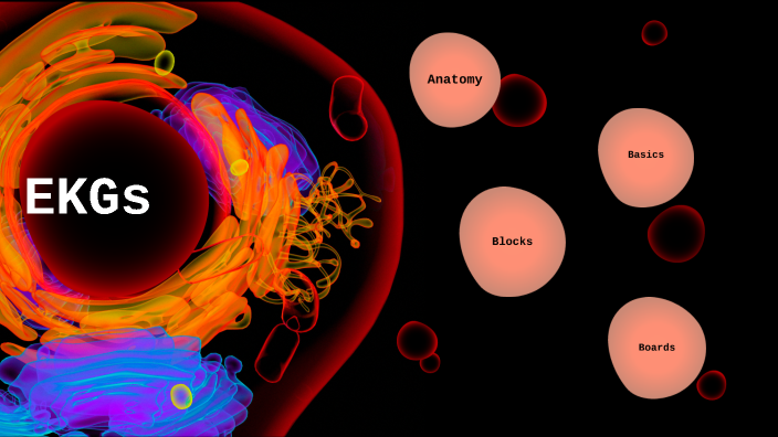 EKGs by bronte remsik on Prezi