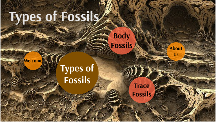 Types of Fossils by Devika J on Prezi