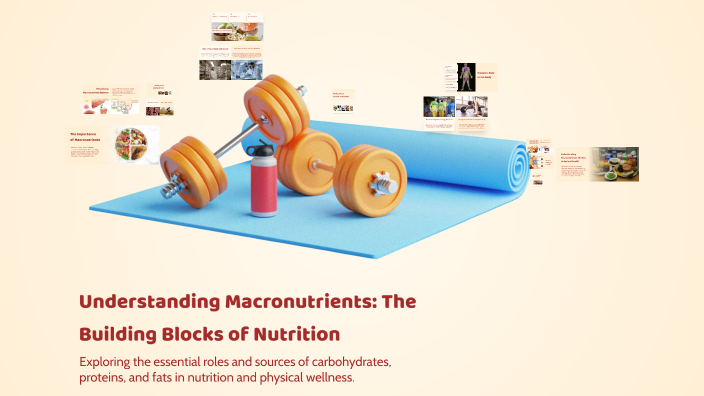 Understanding Macronutrients: The Building Blocks of Nutrition by ellie ...