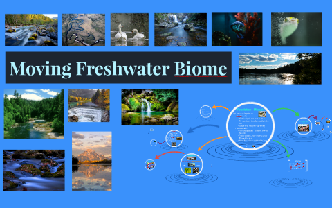 Moving Freshwater Biome by Amy Vaughn on Prezi