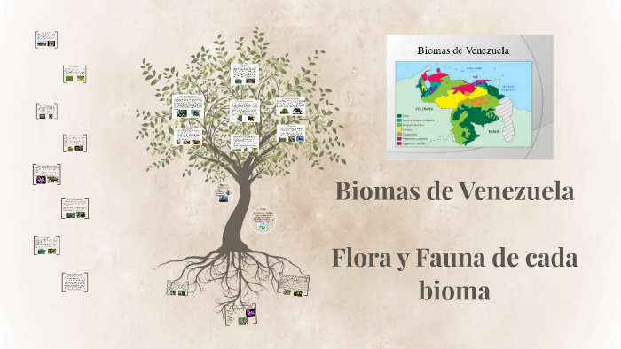 Biomas de Venezuela by carlos antonio doffiny sanchez-vegas on Prezi