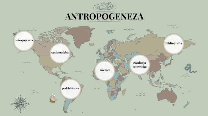Antropogeneza by Weronika Walewska on Prezi