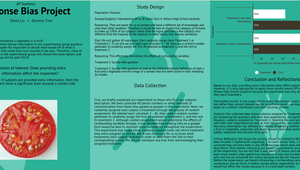 Response Bias Project Virtual Poster by Yixuan Liu on Prezi Design
