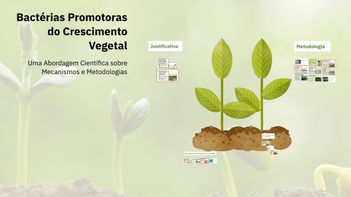 Bactérias Promotoras do Crescimento Vegetal by Emanuel Scalfi on Prezi