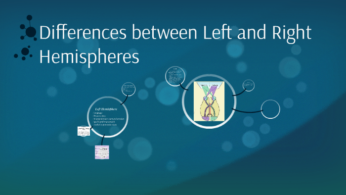 Differences between Left and Right Hemispheres by Veronica Davis on Prezi