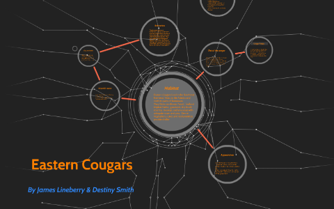 Eastern Cougars by James Lineberry on Prezi