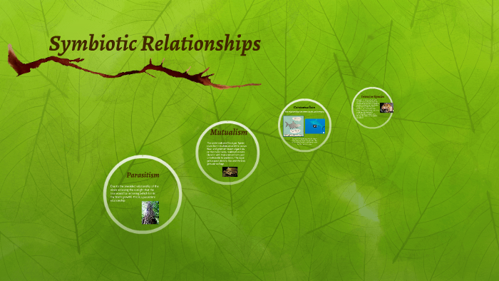 Symbiotic Relationships by Alfred Chen on Prezi