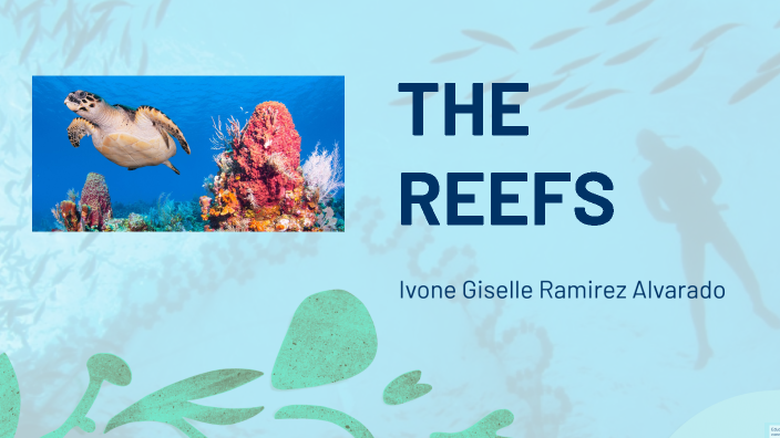 THE REEFS by IVONE GISELLE RAMIREZ ALVARADO on Prezi
