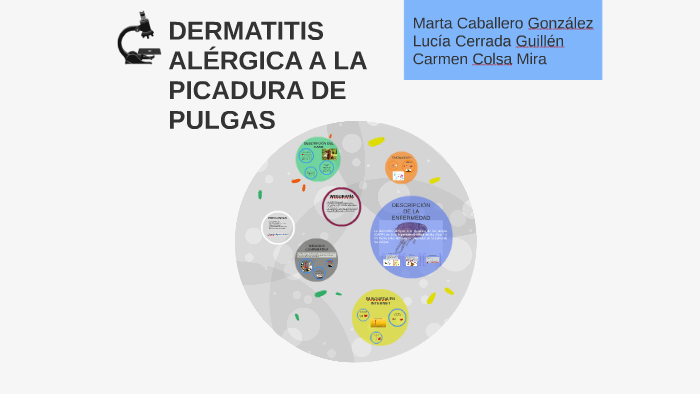 DERMATITIS ALÉRGICA A LA PICADURA DE PULGAS by Carmen Colsa on Prezi