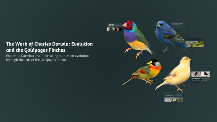 The Work of Charles Darwin: Evolution and the Galápagos Finches by alha ...