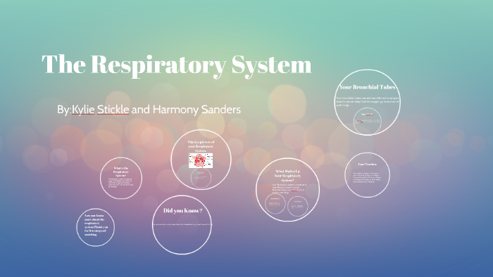 The Respiratory System by kylie stickle