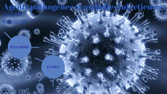 SVT by Marie Bsd on Prezi