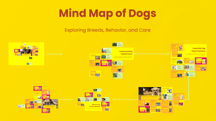 Mind Map of Dogs by Kacper Krzan on Prezi